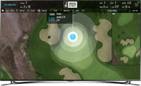 FSX 2020 Software Full-Purchase | Foresight Sports