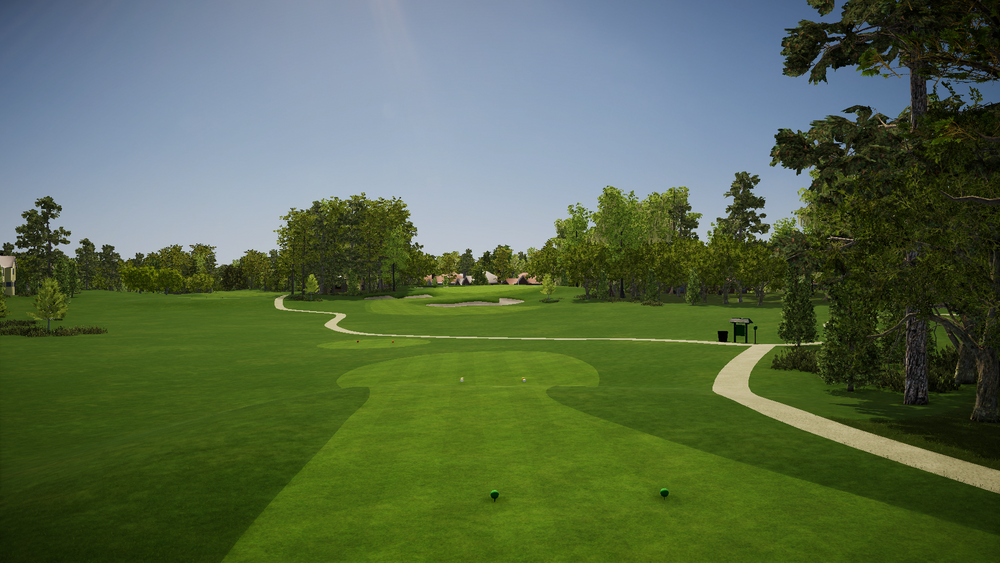 Innisbrook Resort Island Course | Foresight Sports